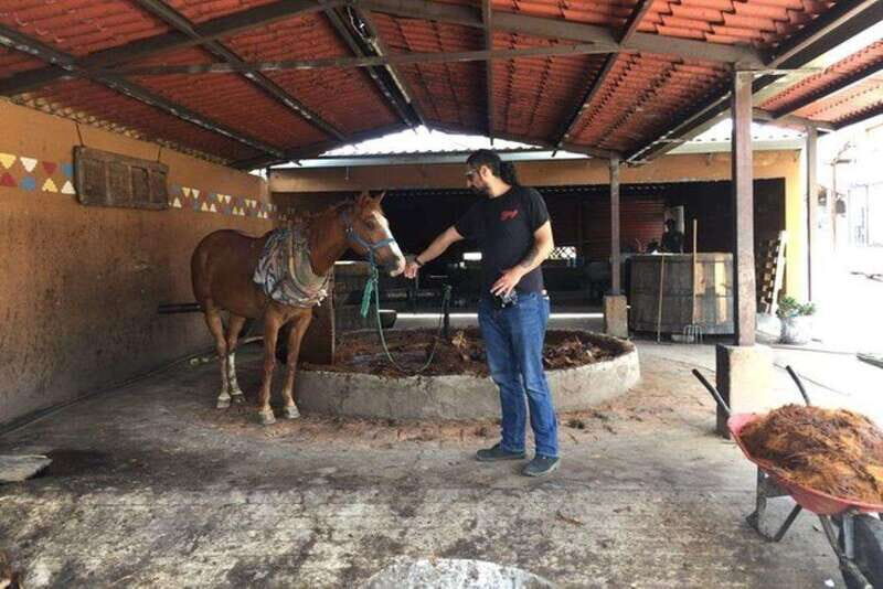 Oaxaca: Private Gastronomy and Culture Tour - Final Words