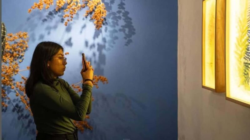 Oaxaca Renowned Art Galleries and Traditions in Private Tour - FAQs