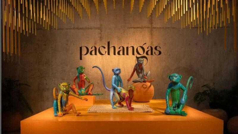 Oaxaca Renowned Art Galleries and Traditions in Private Tour - Final Thoughts