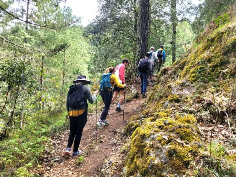 Oaxaca: Sierra Norte Ixtepeji Guided Hike & Lunch, Half-Day - Transportation & Group Size: Making It Comfortable and Intimate
