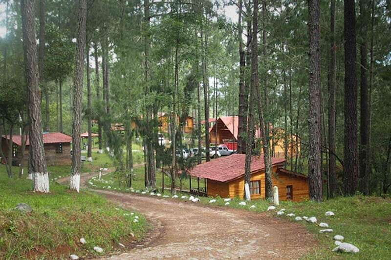 Oaxaca: Sierra Norte Tour with Zipline and Hanging Bridge - Who Will Love This Tour?