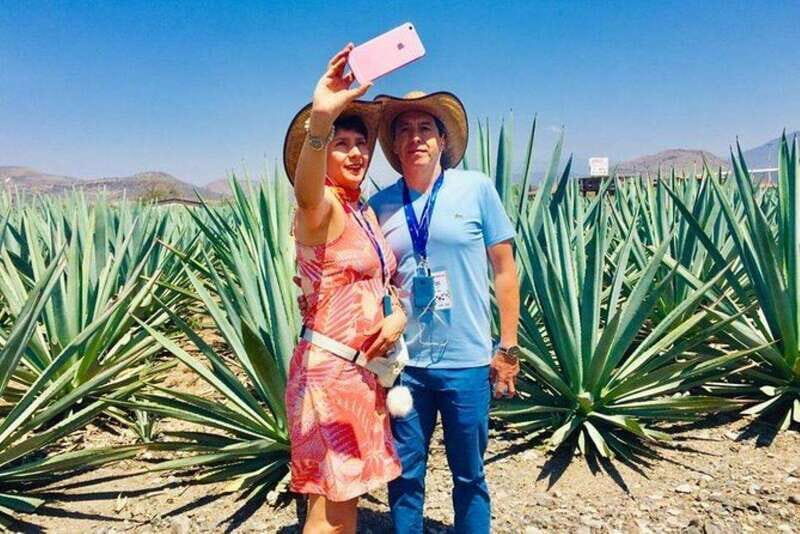 Oaxaca: Tlacochahuaya, Mezcal and Teotitlán del Valle Tour - Transportation and Logistics