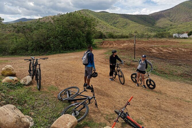 Oaxaca to Tule Tree Bike Tour - 6 hours - Who Will Love This Tour?