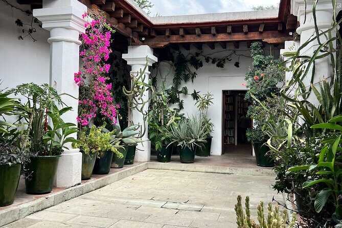 Oaxaca Walking Tour - Practical Details and Tips