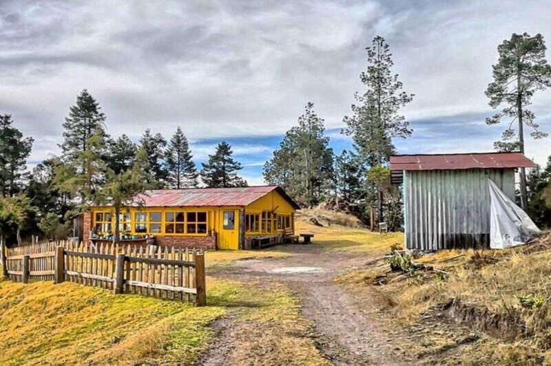 Oaxaca: Zipline, Nature Walk and Gastronomy Tour - Key Points