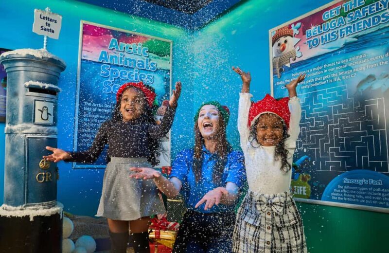 Oberhausen: SEA LIFE Oberhausen Entry Ticket - The Sum Up