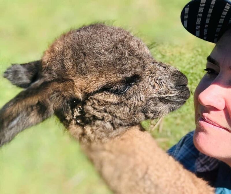 Oberon: Kenzell Farm Tour A Hands-On Animal Adventure! - Key Points