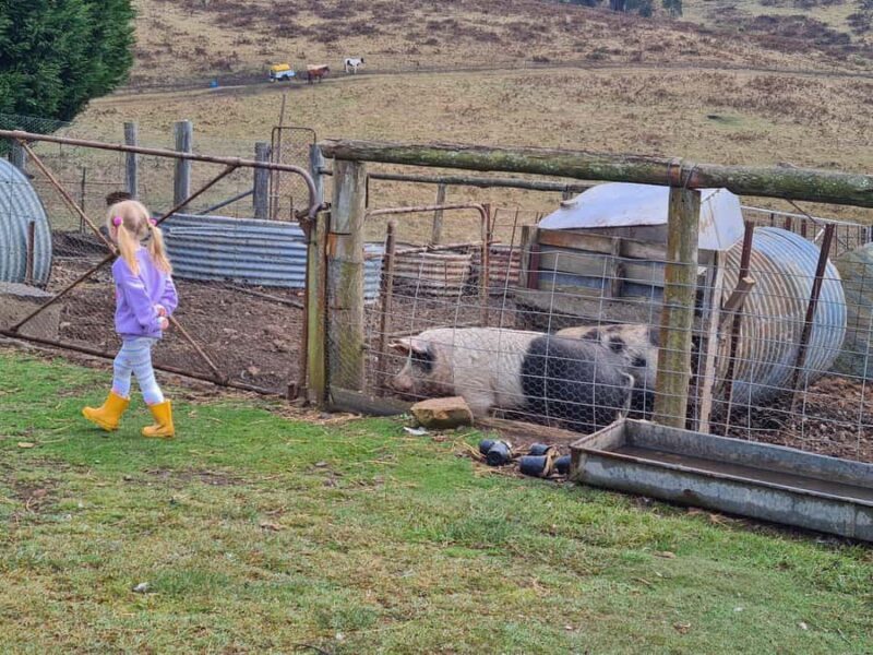 Oberon: Kenzell Farm Tour A Hands-On Animal Adventure! - Who Is This Tour Best For?