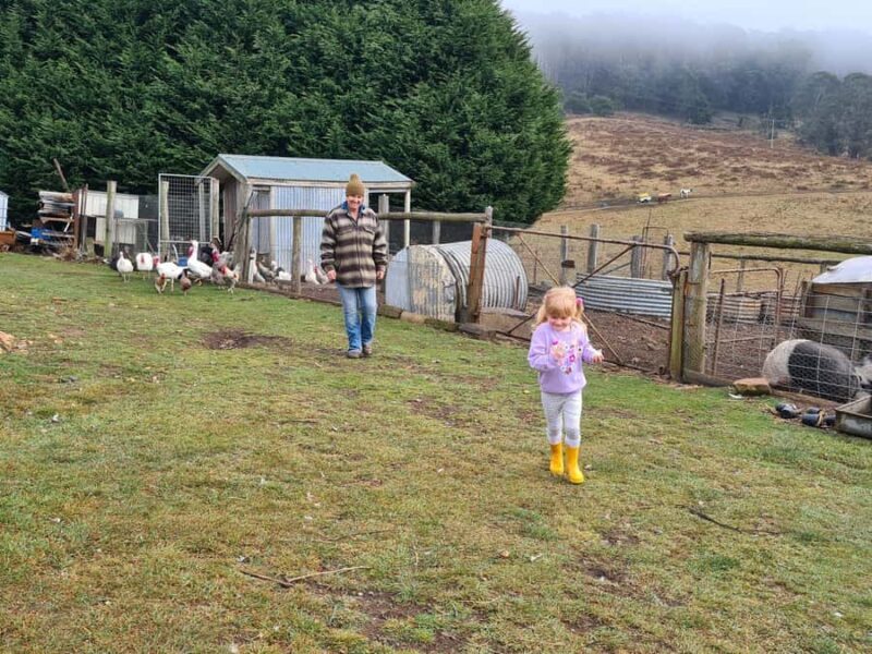 Oberon: Kenzell Farm Tour A Hands-On Animal Adventure! - The Sum Up