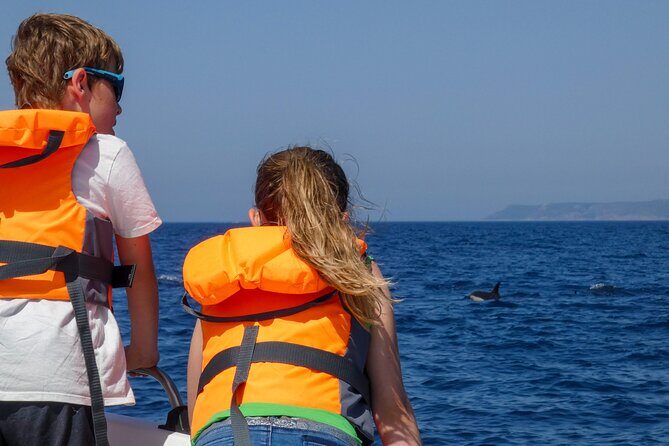Observation of Dolphins and Whales with Marine Biologist in Arrábida - The Sum Up