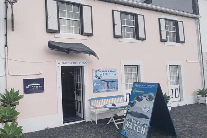 Observation of whales and dolphins in island Pico - Final Thoughts