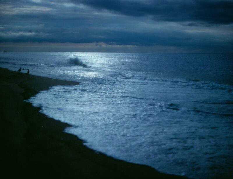 OBX Ghost Tours: Lighthouse Wraiths & Dune Shadows - Who Should Consider This Tour?