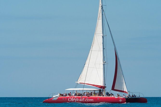 OBYCAT Experience - Detailed Breakdown of the Itinerary