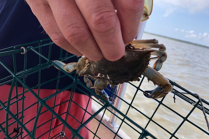 OC Bay Hopper Crabbing - Discover the Unique Charm of OC Bay Hopper Crabbing in Ocean City