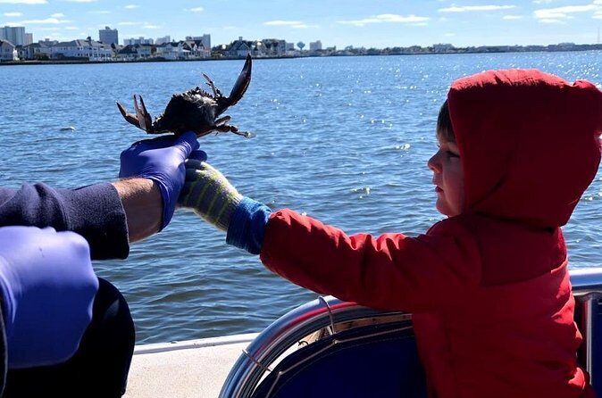 OC Bay Hopper Crabbing - Final Thoughts: Why It’s Worth Your Time