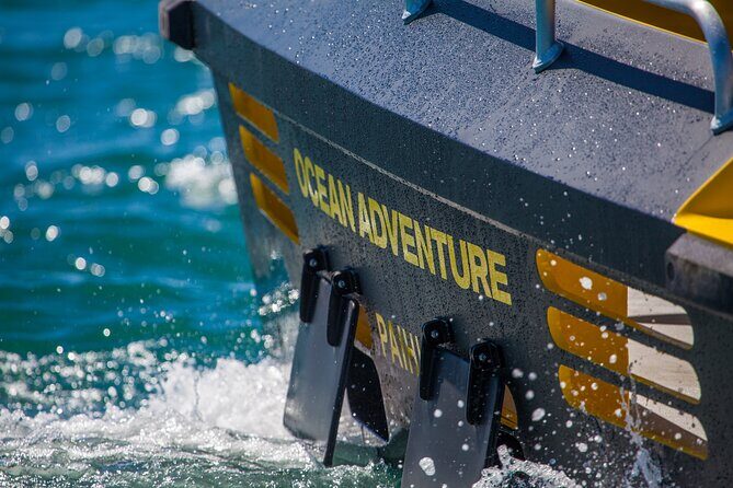 Ocean Adventure: Fast Boat to the Hole in the Rock - Final Thoughts