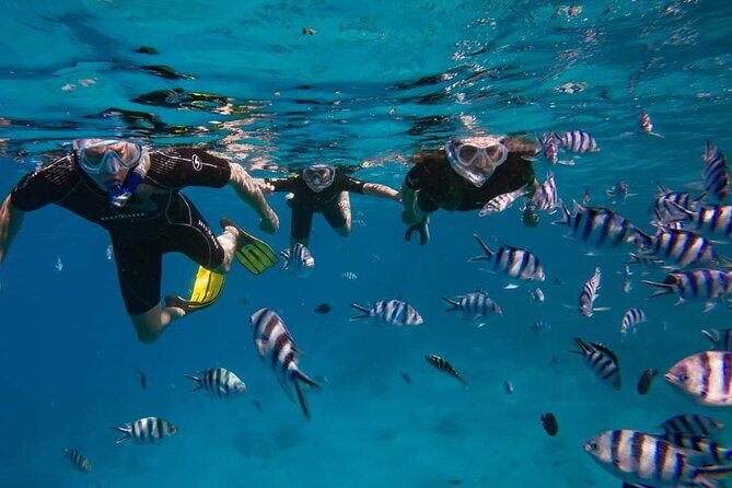 Ocean Discovery and Snorkelling in Tahiti - What You Can Expect from the Tour