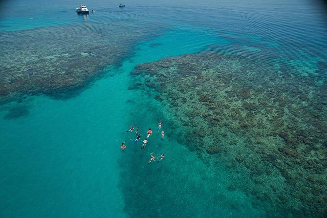 Ocean Freedom Great Barrier Reef Luxury Snorkel and Dive Cruise - Key Points