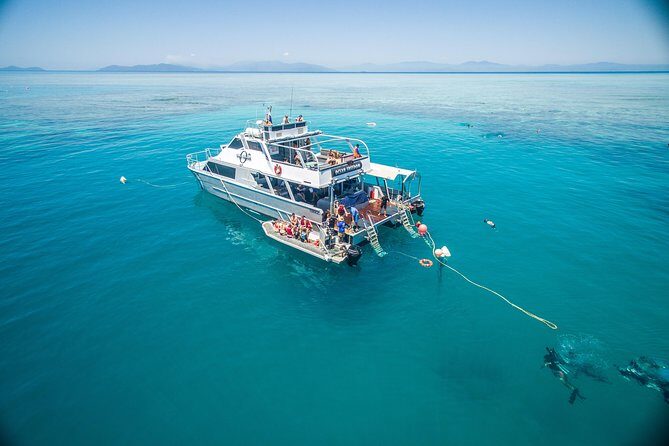 Ocean Freedom Great Barrier Reef Luxury Snorkel and Dive Cruise - An Overview of the Experience
