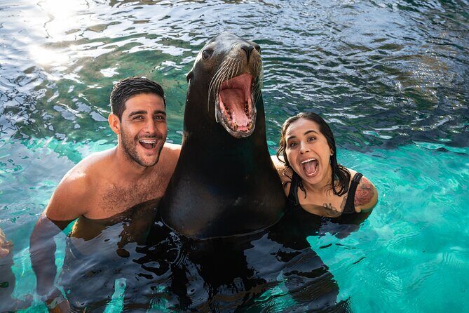 Ocean Mania & water park experience in Puerto Vallarta - The Value: Is It Worth It?