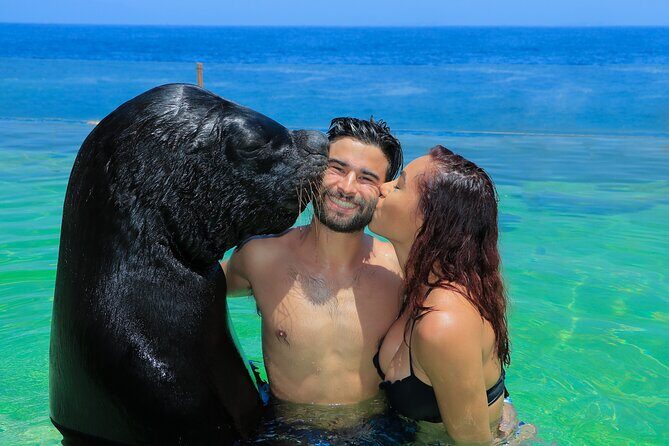 Ocean Mania & water park experience in Puerto Vallarta - Review Highlights: Authentic Guest Experiences