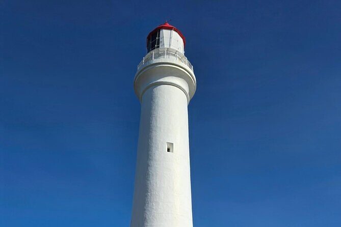 Ocean Road Private Tour from Melbourne - Final Thoughts