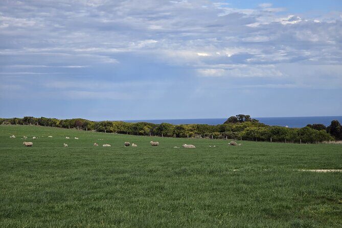 Ocean Road Private Tour from Melbourne - FAQs