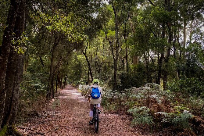 Ocean Road Scenic Bicycle Ride in Port Campbell or Timboon - An In-Depth Look at the Trail Experience