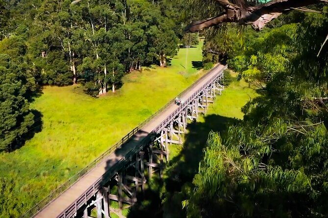 Ocean Road Scenic Bicycle Ride in Port Campbell or Timboon - Frequently Asked Questions
