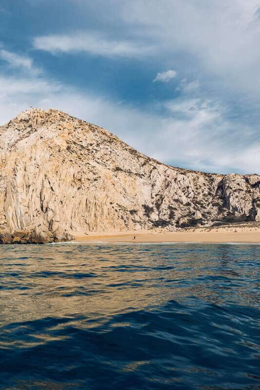 Ocean Safari in San Jose del Cabo - An Overview of the Experience