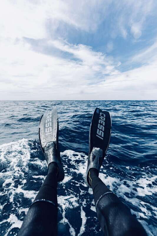 Ocean Safari in San Jose del Cabo - The Itinerary and What to Expect