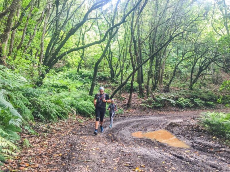 Ocean to Mountain Running Tour - Key Points