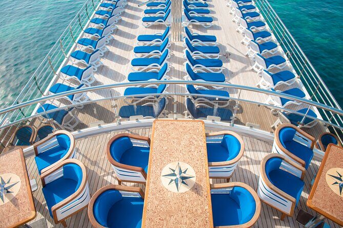 Ocean Vision | Half Day with BBQ Cruise - Why the Ocean Vision Cruise Stands Out