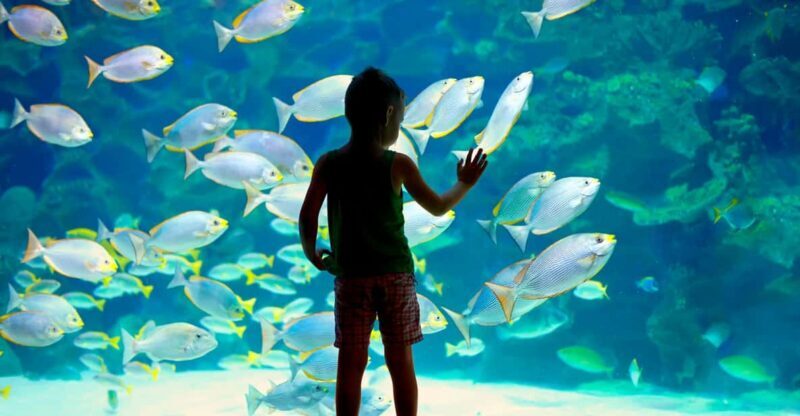 Oceanographic Museum of Monaco Ticket - Key Points