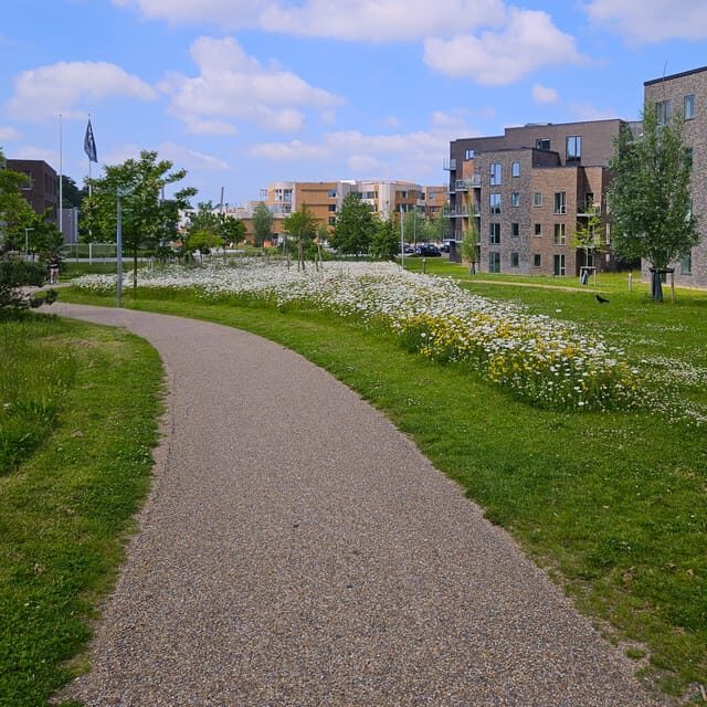 Odense: City walk - The new green Odense - City development - FAQ