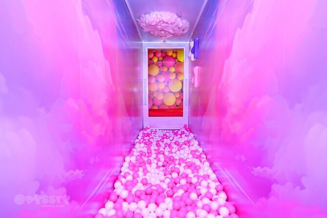 Odyssey Sensory Maze Entry Auckland Ticket - FAQ