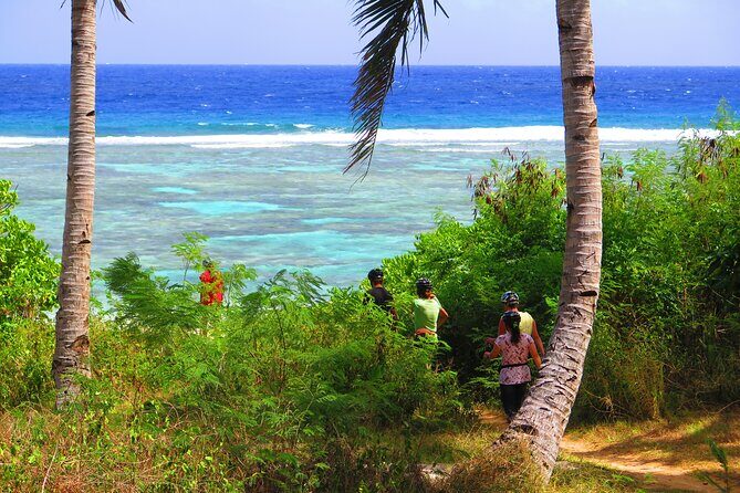 Off-Road Buggy Adventure - FAQs