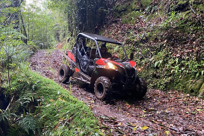 Off-Road Buggy Driving Experience - Who Should Choose This Tour?