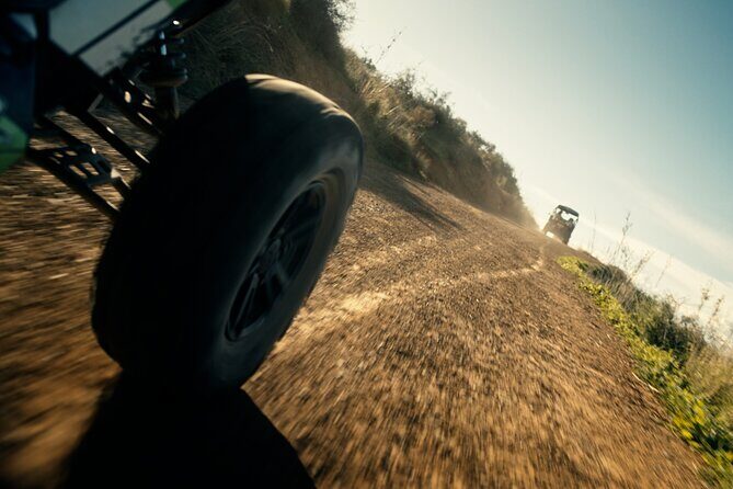Off-road buggy tour Sierra de Mijas buggy 1h - Key Points