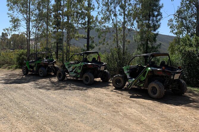 Off-road buggy tour Sierra de Mijas buggy 2h - The Sum Up