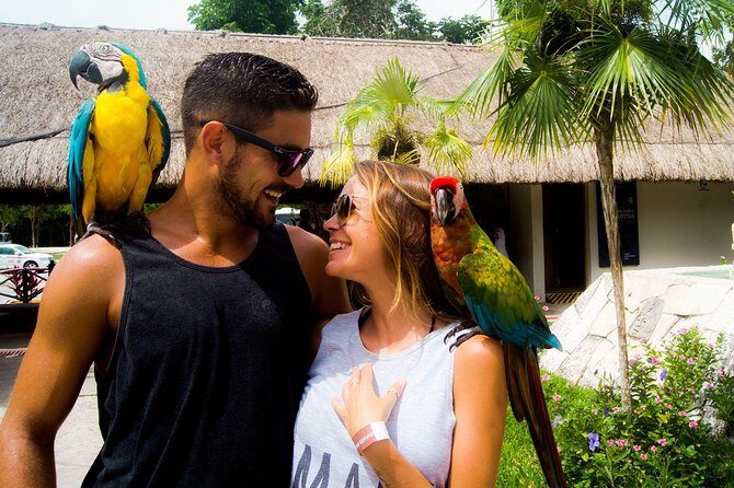 Off-Road Mayan Adventure in Cozumel with Snorkeling and Lunch - What to Expect from the Tour