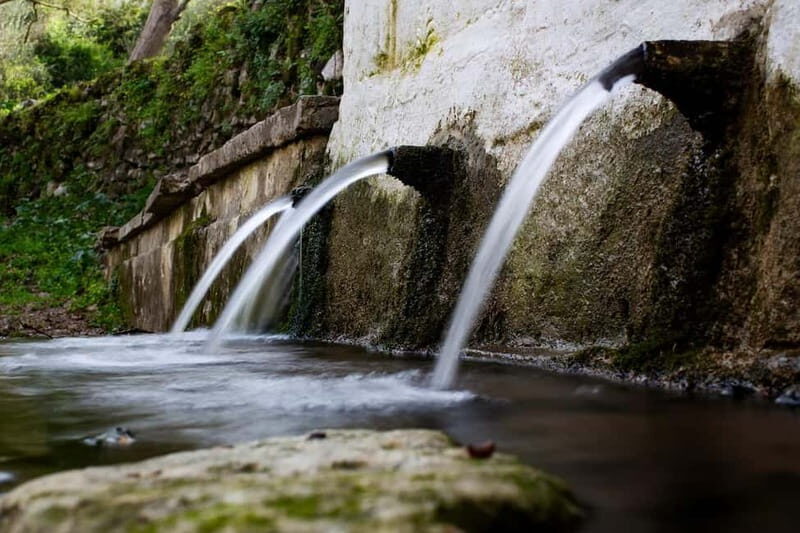 Off-Road: Natural Lake, Mountain Gorges, Palm Forest & Beach - Key Points