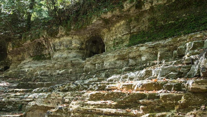 Off-Road: Natural Lake, Mountain Gorges, Palm Forest & Beach - Authentic Experiences and Insights from Reviews