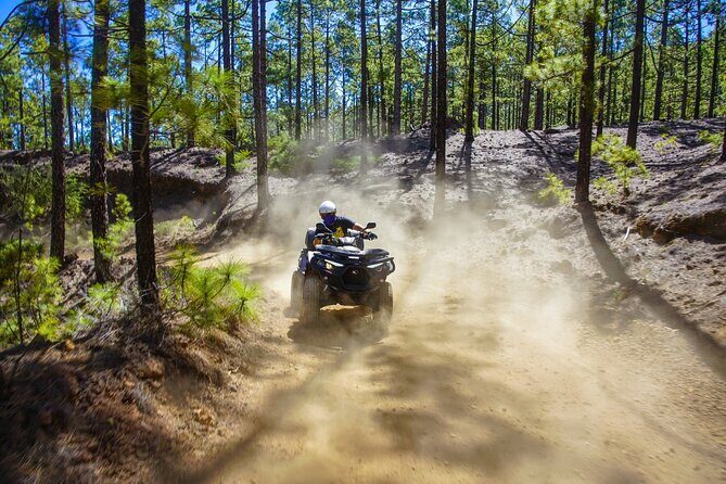Off-Road Quad Tour from Woodlands to Volcanic Heights - Key Points