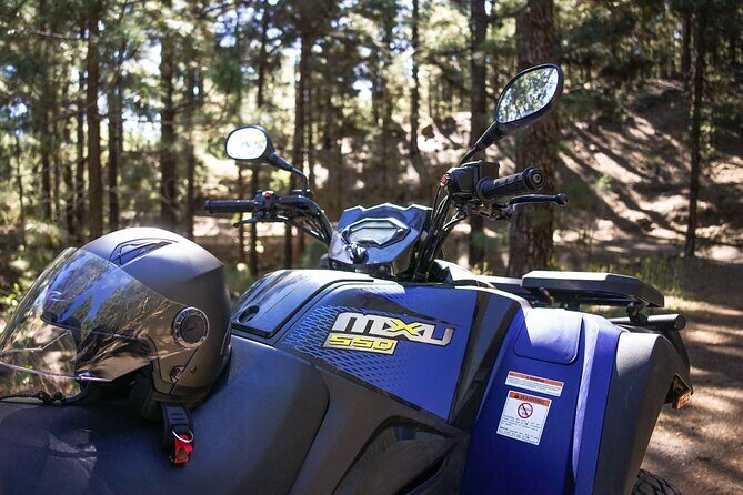 Off-Road Quad Tour from Woodlands to Volcanic Heights - What Makes This Tour Unique?