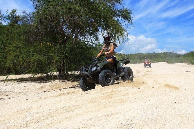 Off Road Runners - Double Rider - The Sum Up