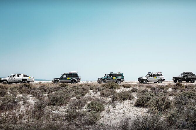 Off Road Safari Experience in Sithonia Halkidiki - What to Expect from the Off Road Safari in Sithonia