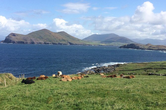 Off the beaten Path Private Tour of Ring of Kerry - Why This Tour Is a Great Choice