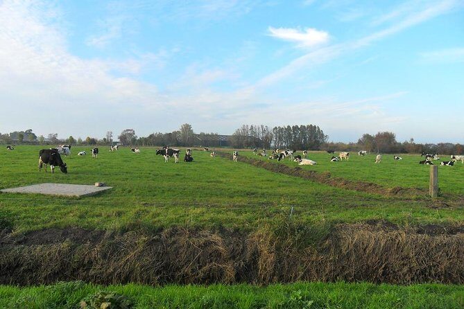 Off the Beaten Paths Dutch Landscape Private Tour 1/2 day Jaguar - Zuiderwoude: The Perfect Finale  