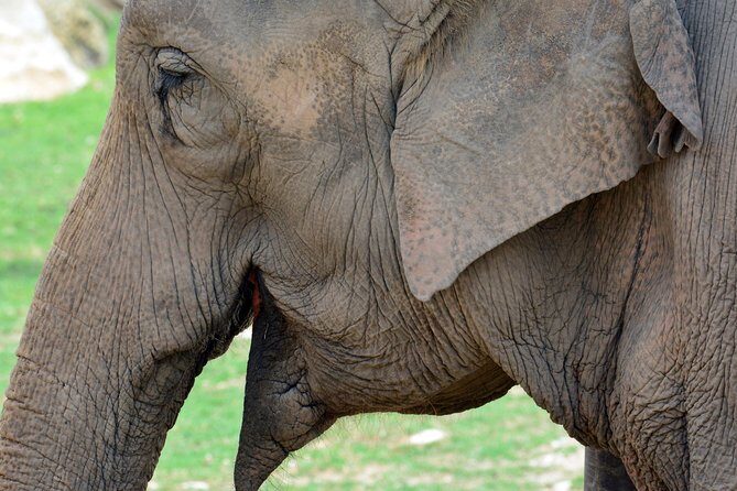 Offer Summer Terra Natura entrance ticket - Analyzing the Experience: What to Expect